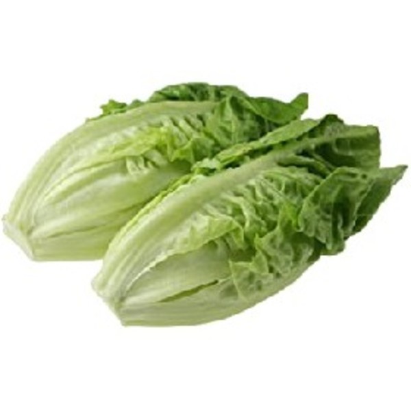 Greenlands Wholesale Fruit & Vegetables | Order your Fruit & Veg ...