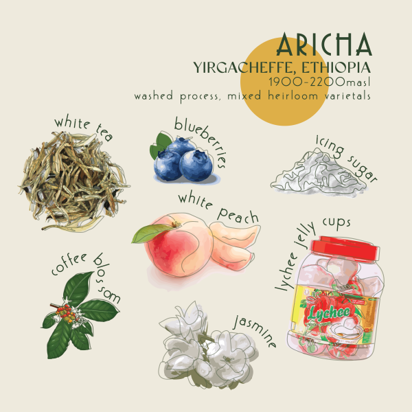 Corellective Pty Ltd | Order your Coffee quickly and easily today!